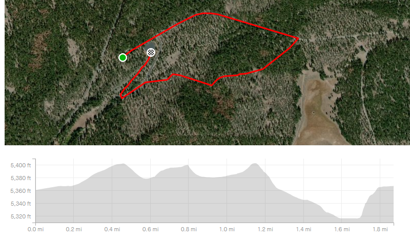 Track & Field, Cross Country Results, Statistics