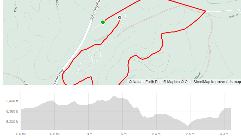 Track & Field, Cross Country Results, Statistics