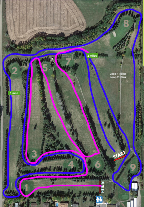 Track & Field, Cross Country Results, Statistics