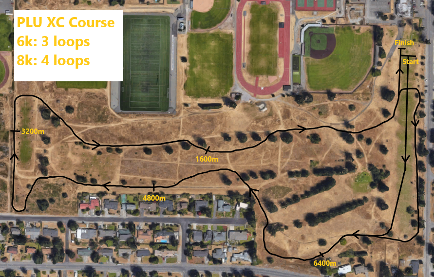 Track & Field, Cross Country Results, Statistics