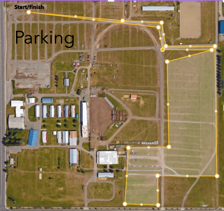 Track & Field, Cross Country Results, Statistics