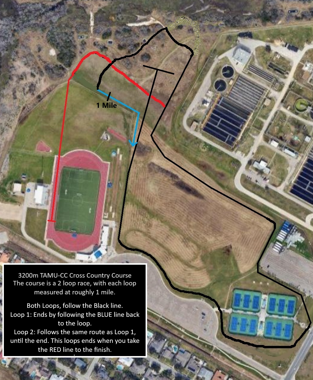 Track & Field, Cross Country Results, Statistics