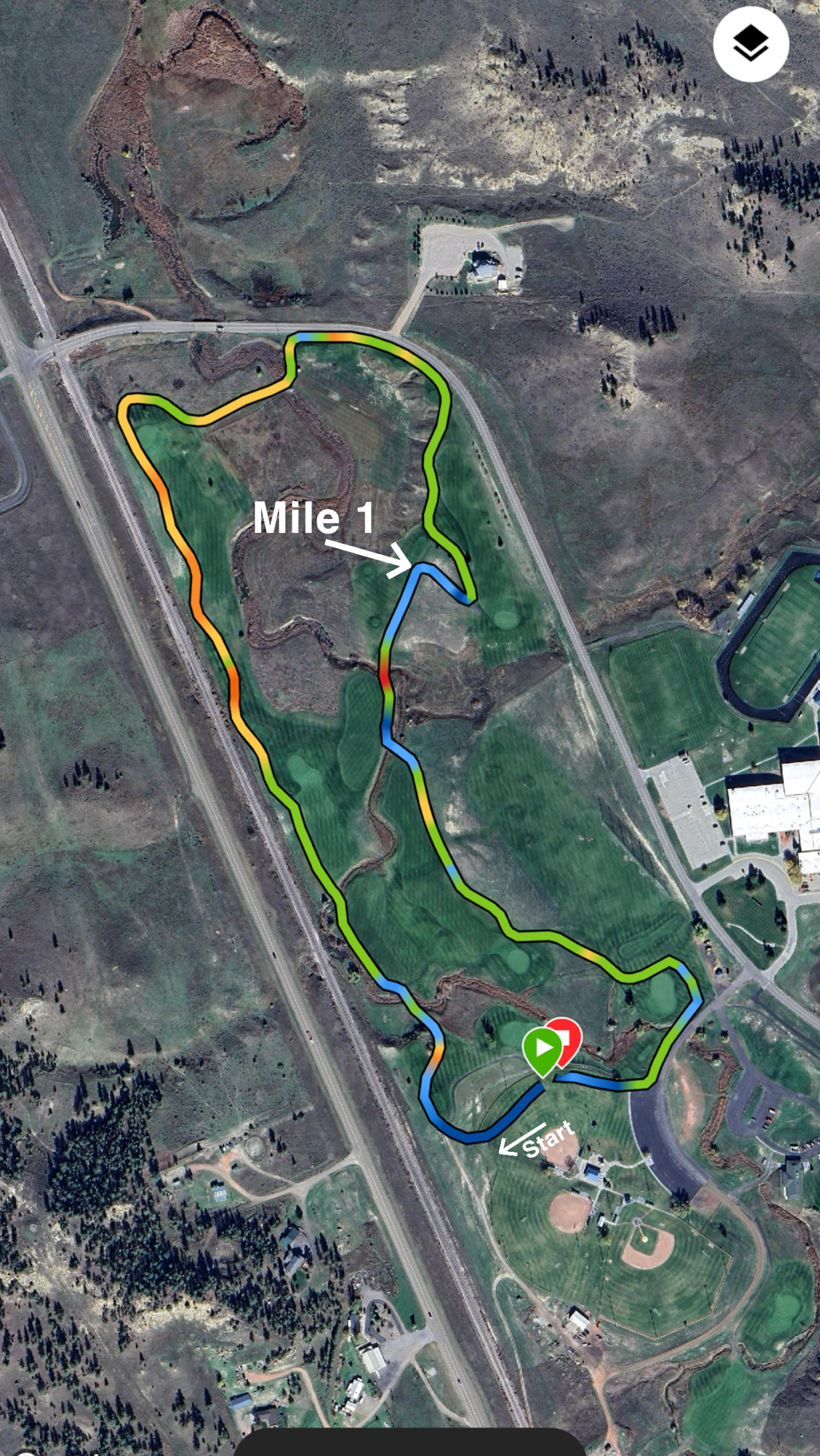 Track & Field, Cross Country Results, Statistics