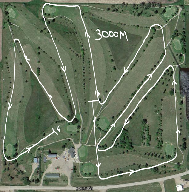 Track & Field, Cross Country Results, Statistics