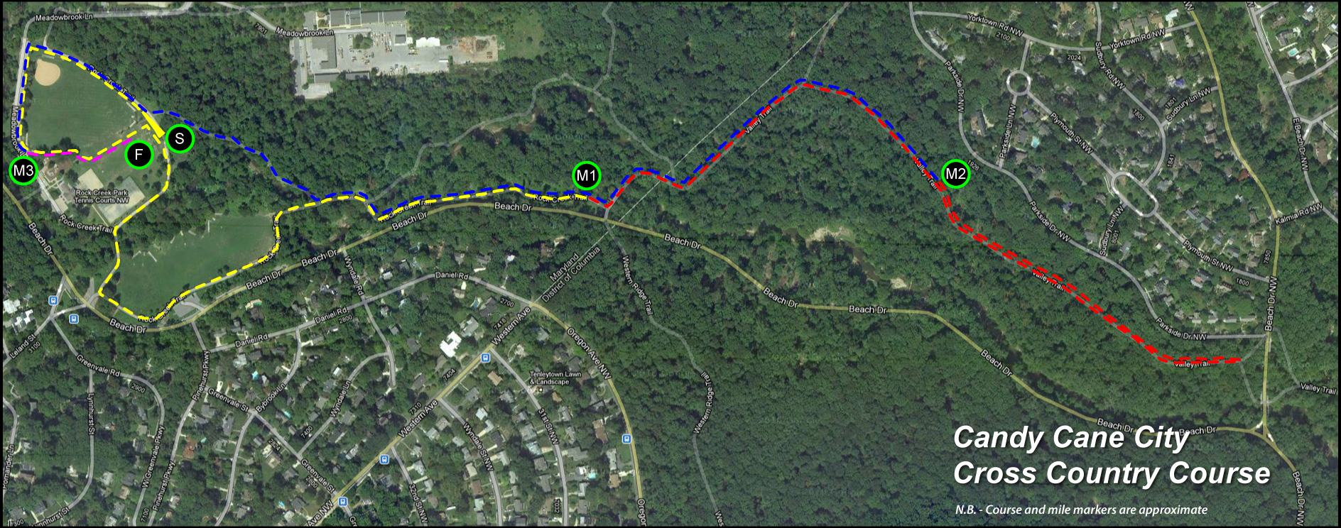 Track & Field, Cross Country Results, Statistics