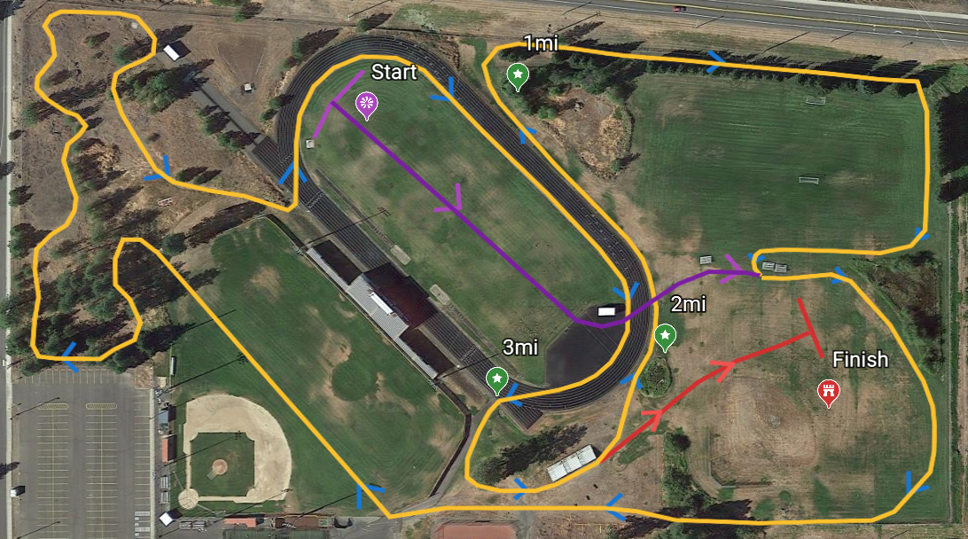 Track & Field, Cross Country Results, Statistics