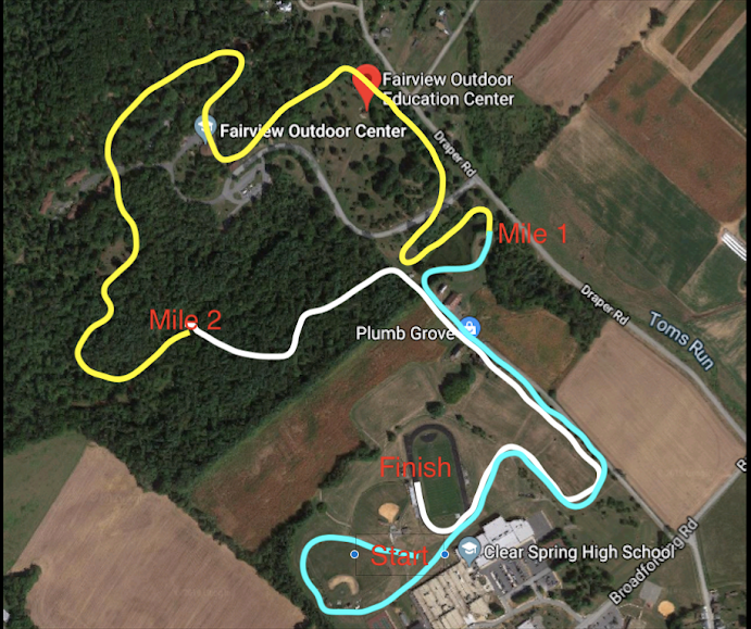 Track & Field, Cross Country Results, Statistics