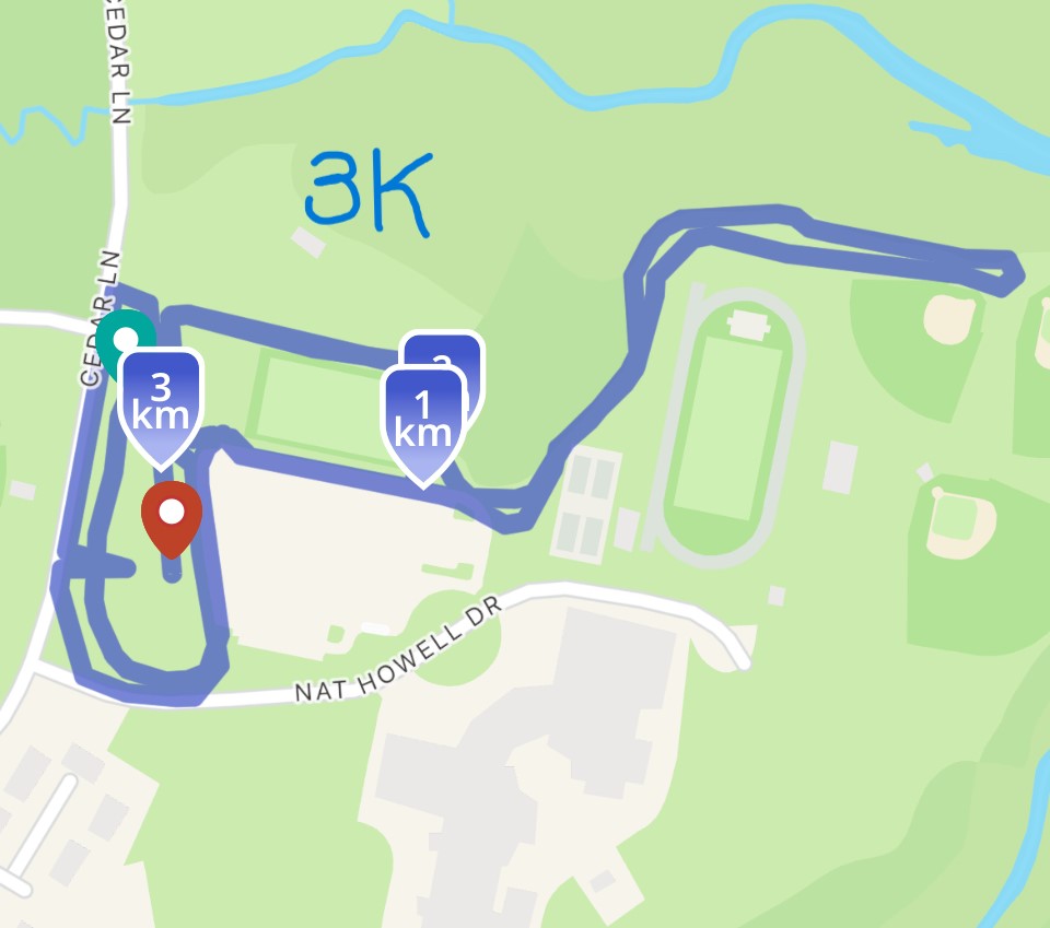 Track & Field, Cross Country Results, Statistics