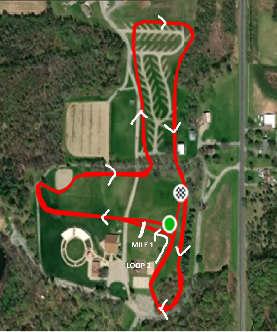 Track & Field, Cross Country Results, Statistics