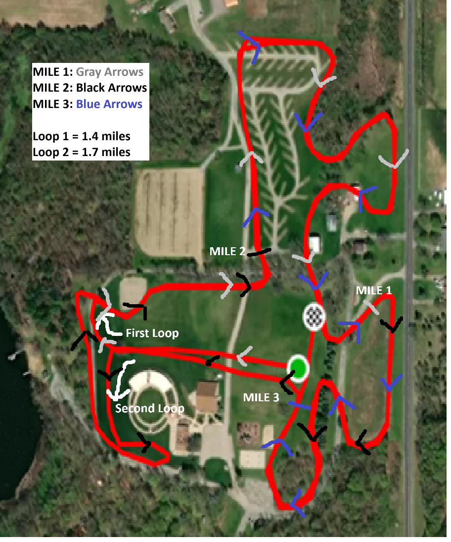 Track & Field, Cross Country Results, Statistics