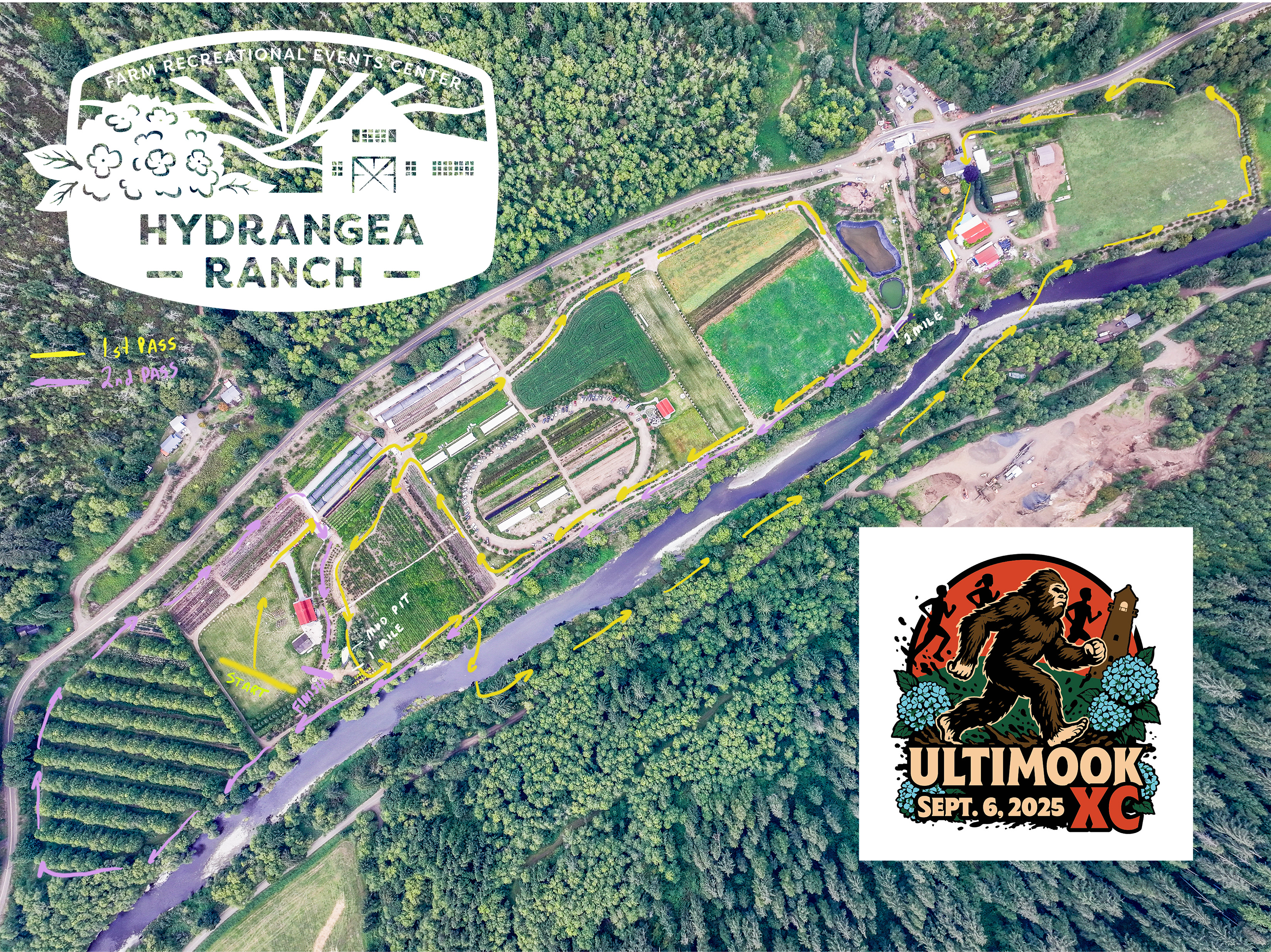 Track & Field, Cross Country Results, Statistics
