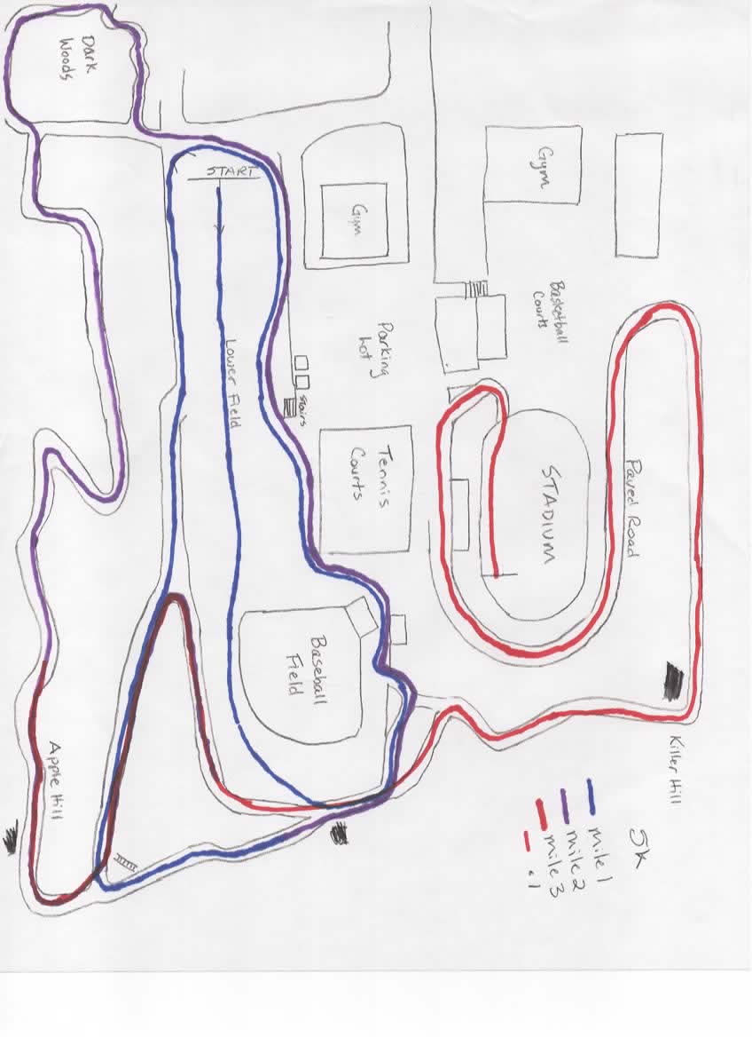 Track & Field, Cross Country Results, Statistics