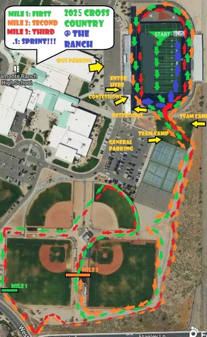 Track & Field, Cross Country Results, Statistics