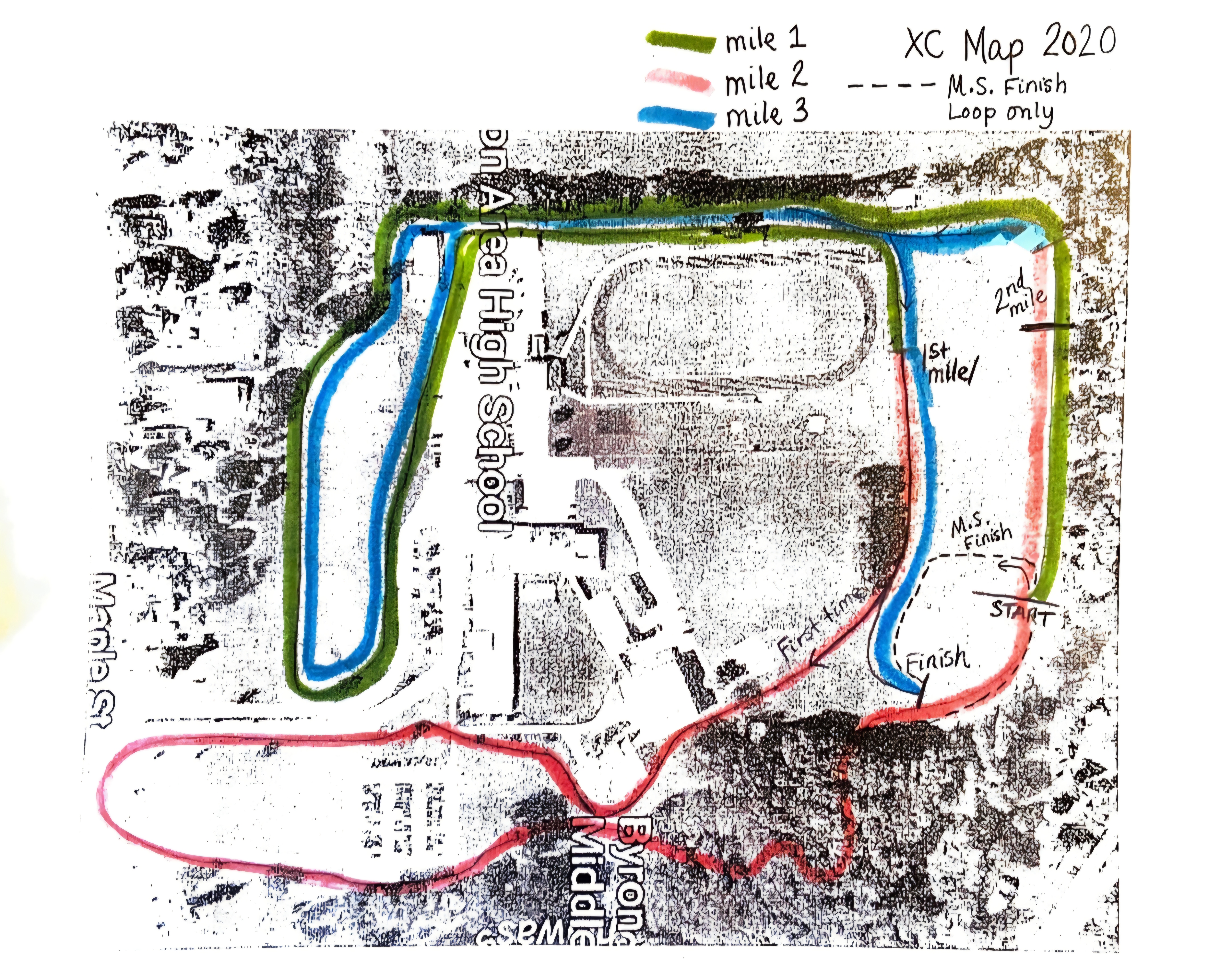 Track & Field, Cross Country Results, Statistics