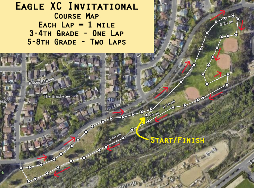 Track & Field, Cross Country Results, Statistics