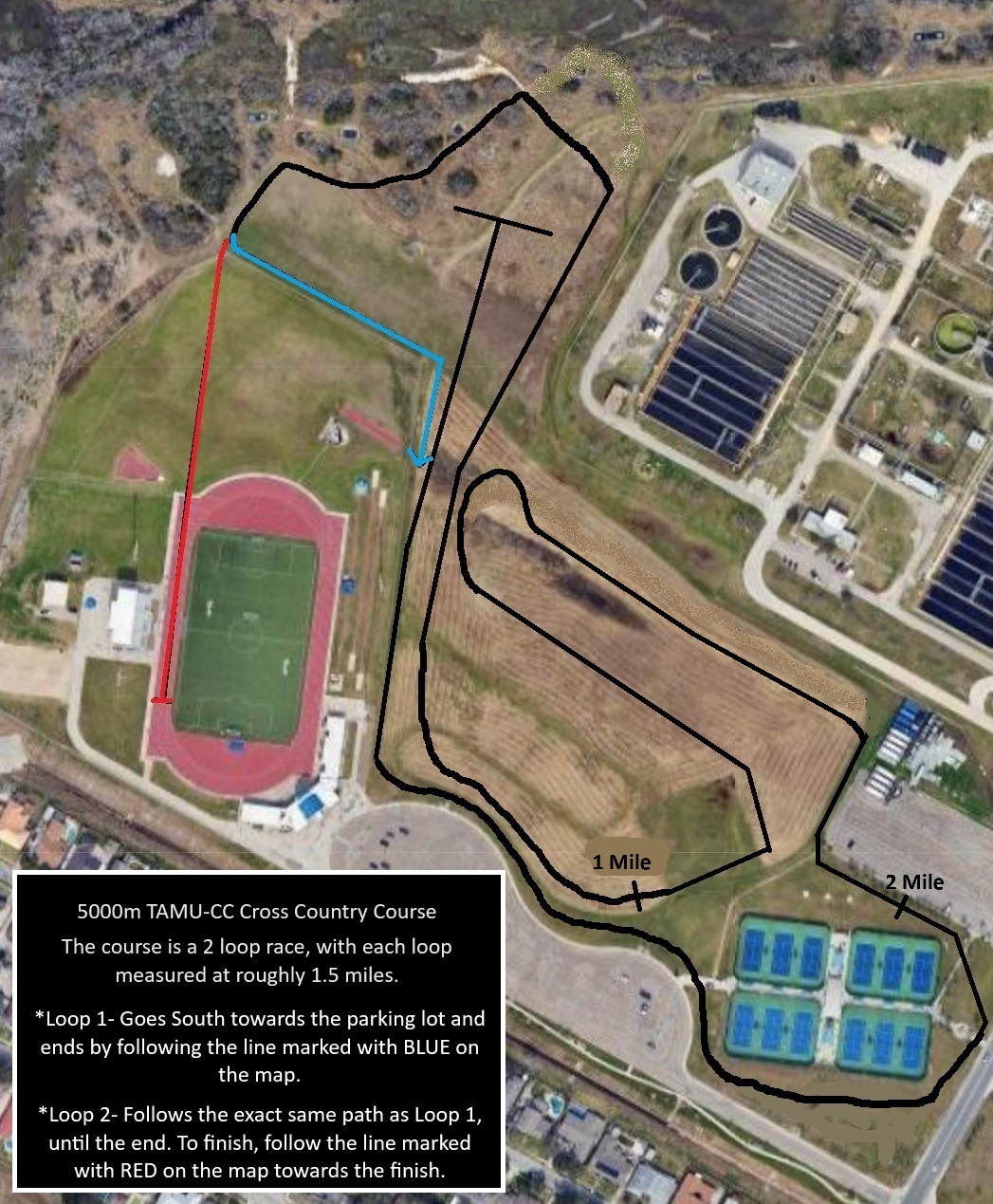 Track & Field, Cross Country Results, Statistics