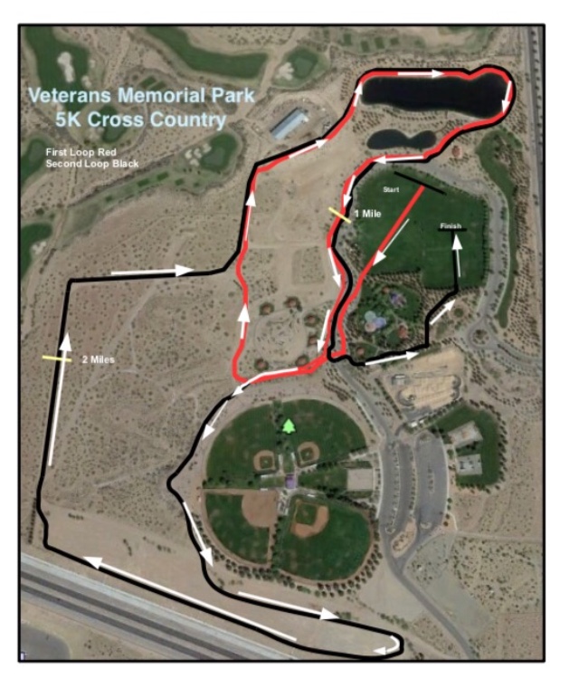 Track & Field, Cross Country Results, Statistics