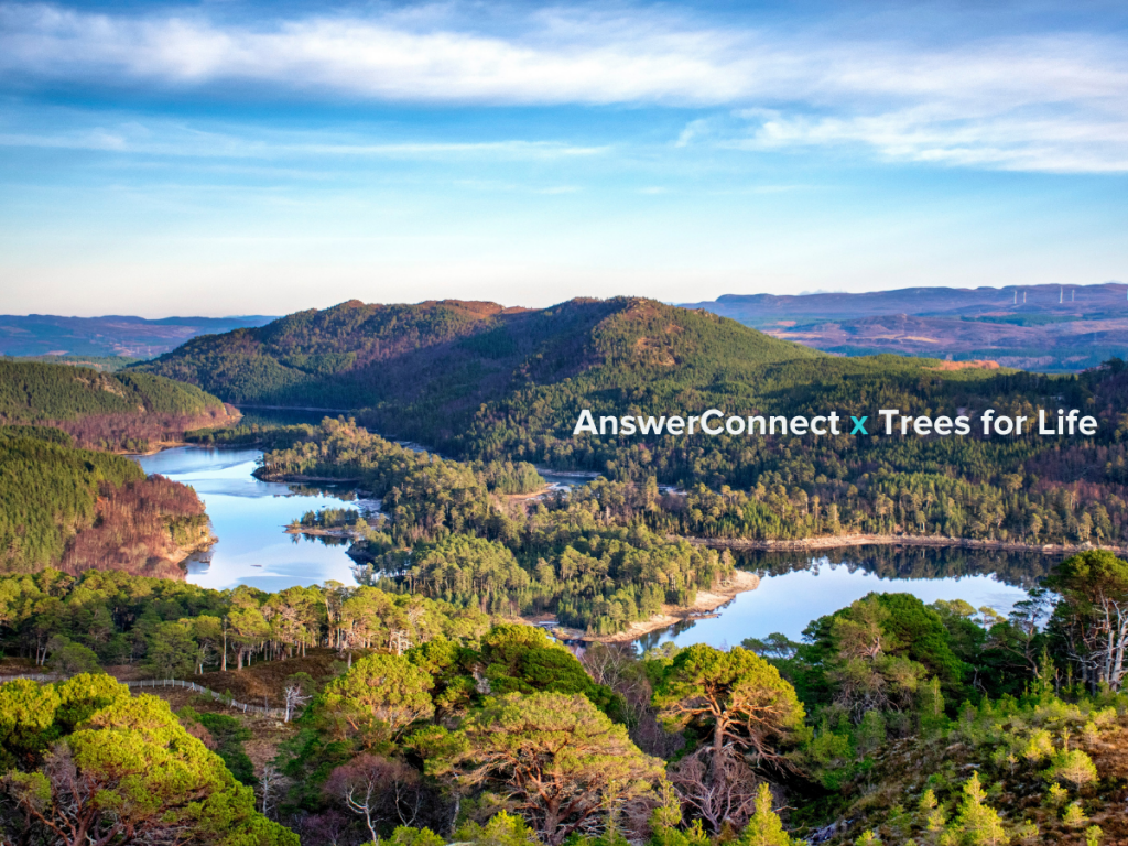 Rewilding the Scottish highlands with Trees For Life: AnswerConnect’s ...