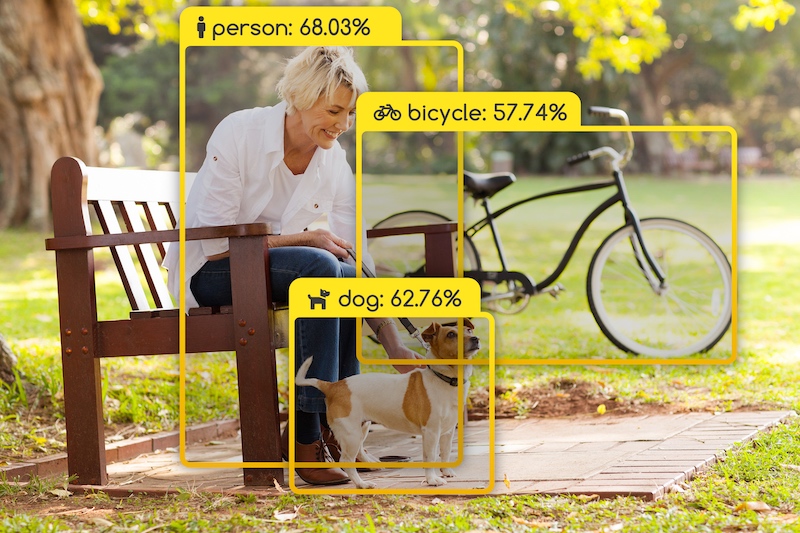 GitHub - api4ai/general-det-examples: API4AI is cloud-native computer ...