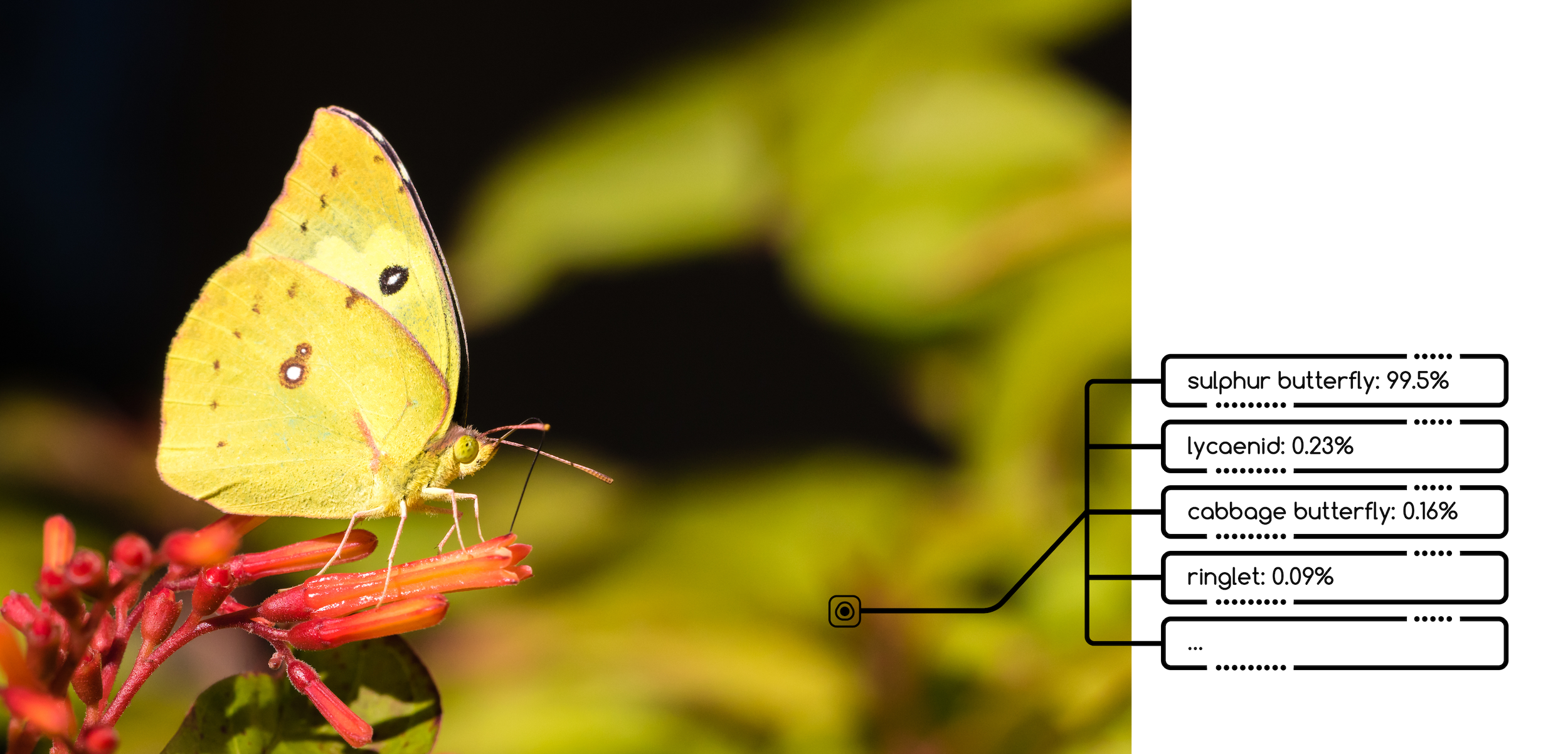 GitHub - api4ai/general-cls-examples: API4AI is cloud-native computer vision & AI platform for ...