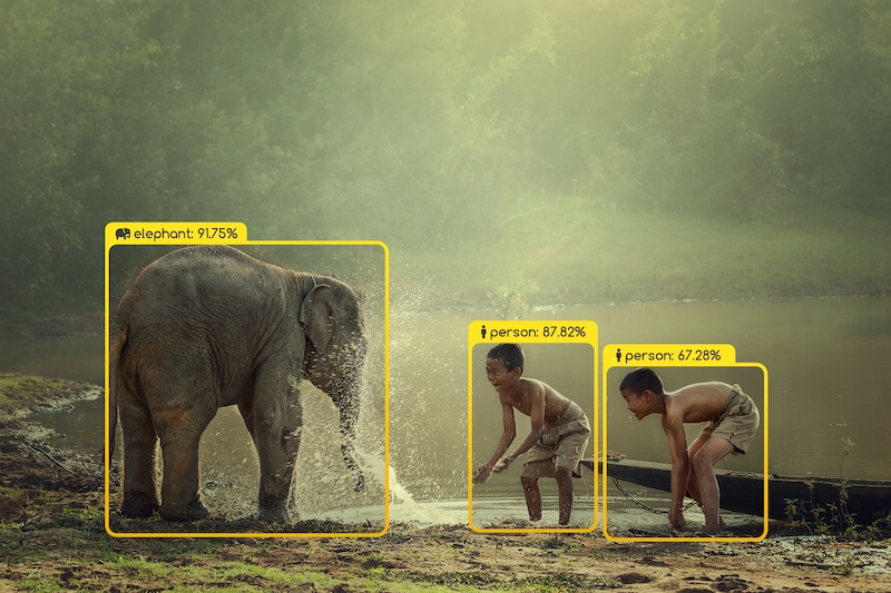 GitHub - api4ai/general-det-examples: API4AI is cloud-native computer vision & AI platform for ...