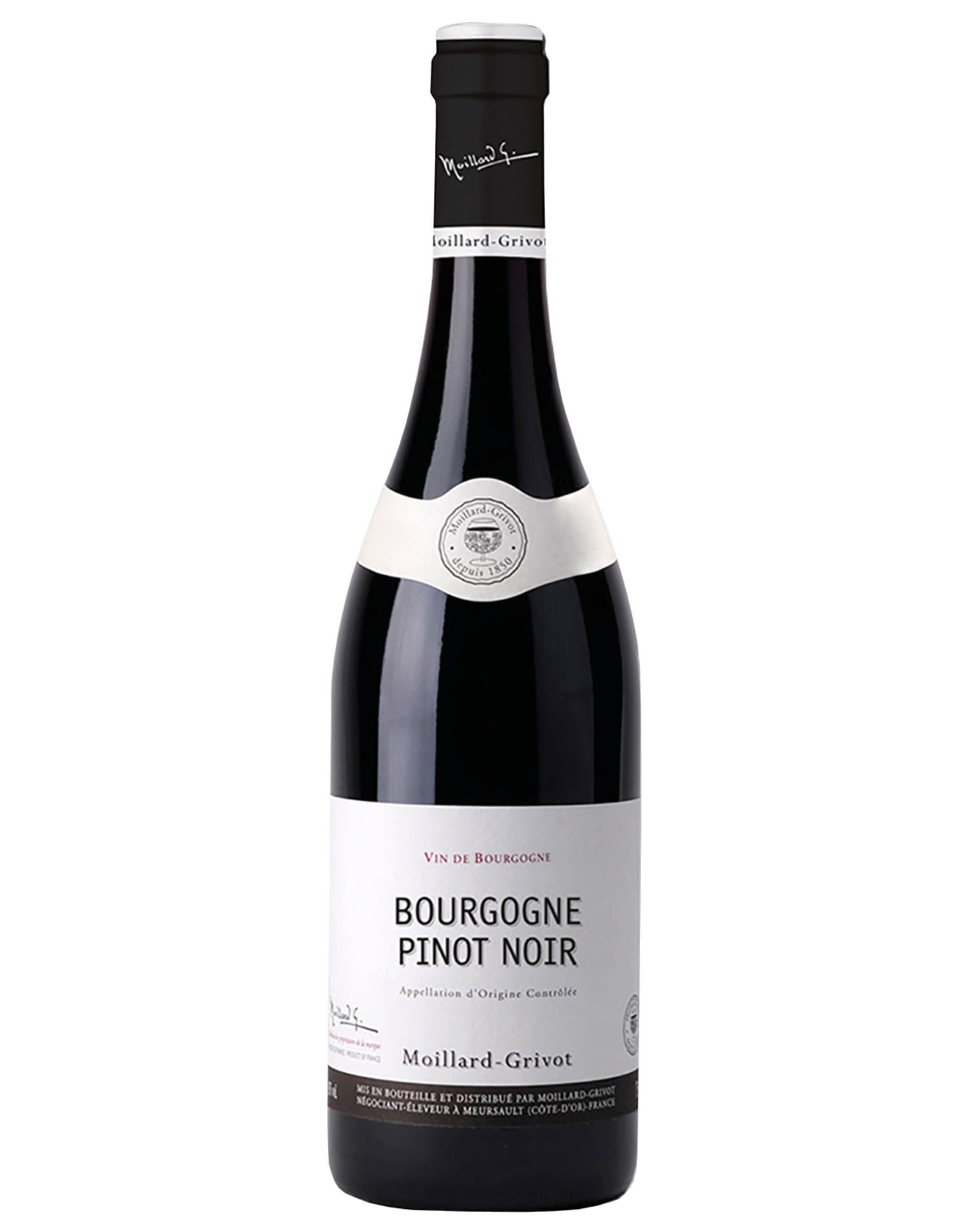 Bourgogne AOC Pinot Noir Moillard-Grivot 2018 0,75 L