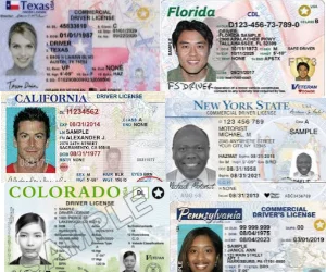 Types of Driver’s Licenses in the U.S. | Requirements & DMV Application