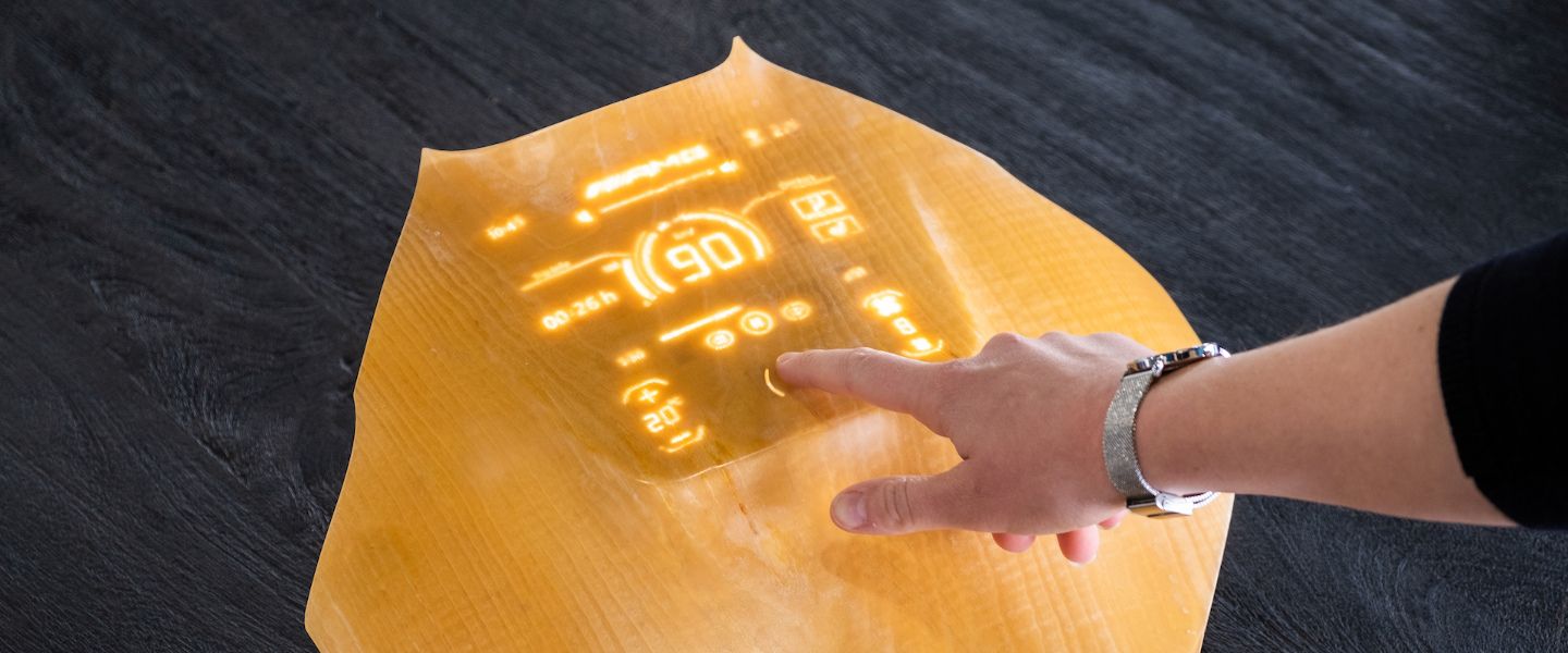 BOIS TRANSLUCIDE de WOODOO : fiche produit et informations techniques ...