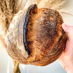 Email Address of @marksbread Instagram Influencer Profile - Contact ...