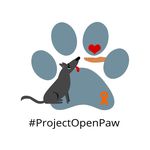 Email Address of @projectopenpaw Instagram Influencer Profile - Contact ...