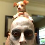 Email Address of @seancheetham Instagram Influencer Profile - Contact ...