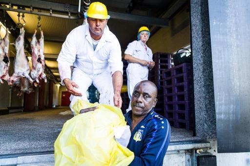 Ritual slaughter exception granted to Muslims not discriminatory