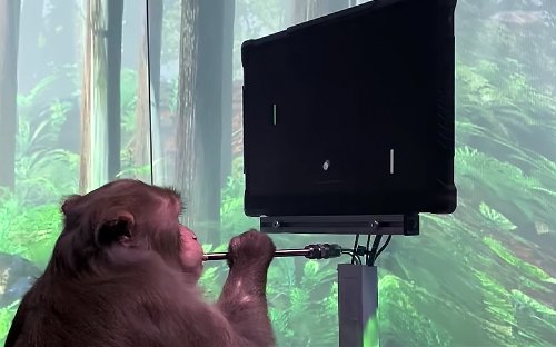 Video: Elon Musk’s Neuralink shows monkey playing video game with mind