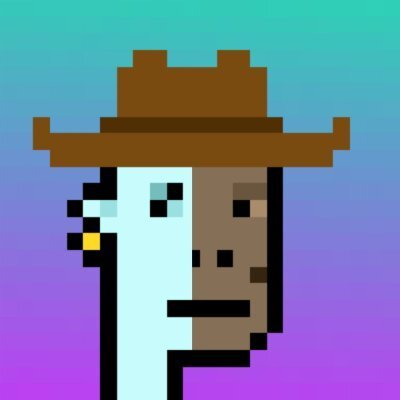 AssetDash | Learn | SolPunks