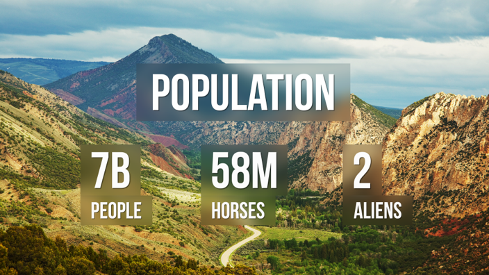 Number 7-placeholder 2 - Mister Horse