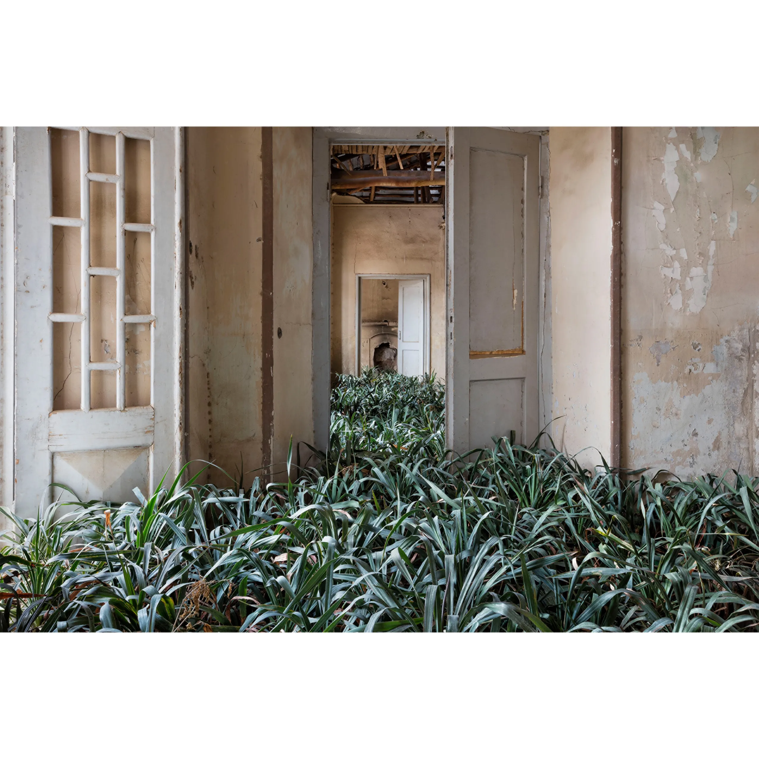 Join us for Lunchtime Curator Talk | Second Nature: Photography in the ... Join us for Lunchtime Curator Talk | Second Nature: Photography in the ...