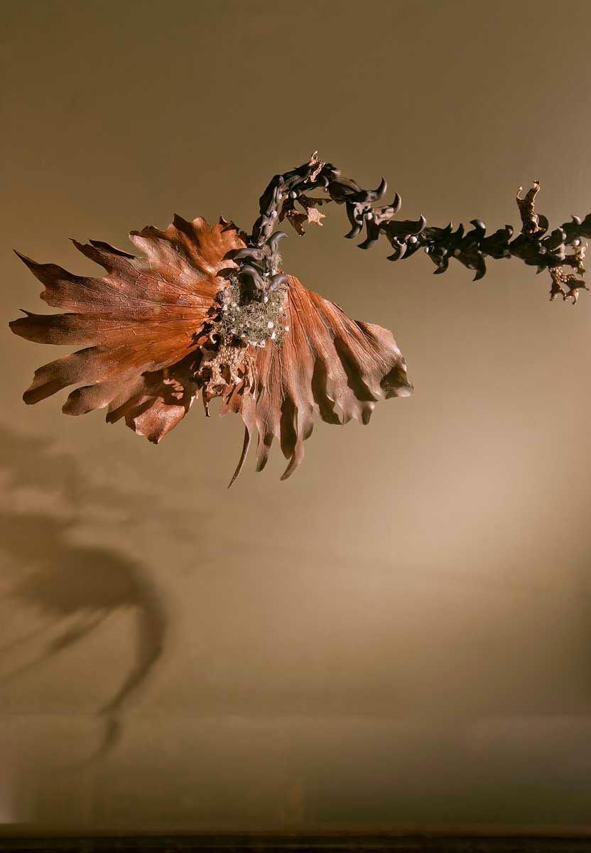 IXIA | Order, Subscribe, or Gift