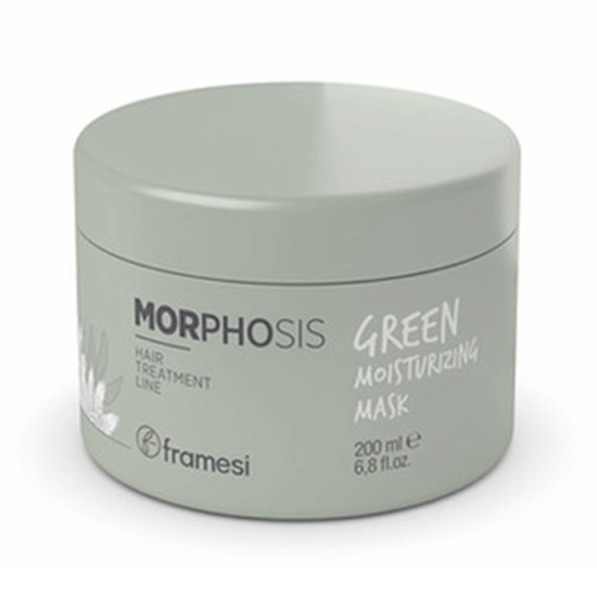Buy Framesi Morphosis Green Moisturizing Mask 200ml | Aesthetic Today UAE