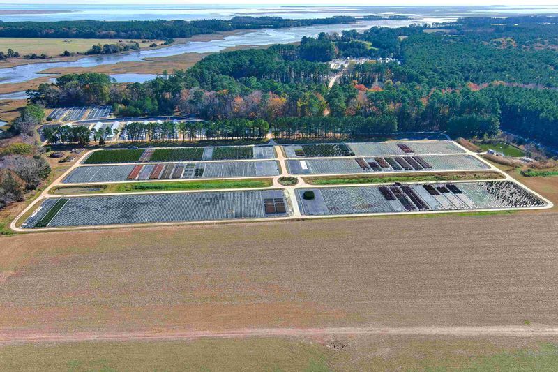 92 Acre Working farm with pond irrigation. Eastern Shore, VA