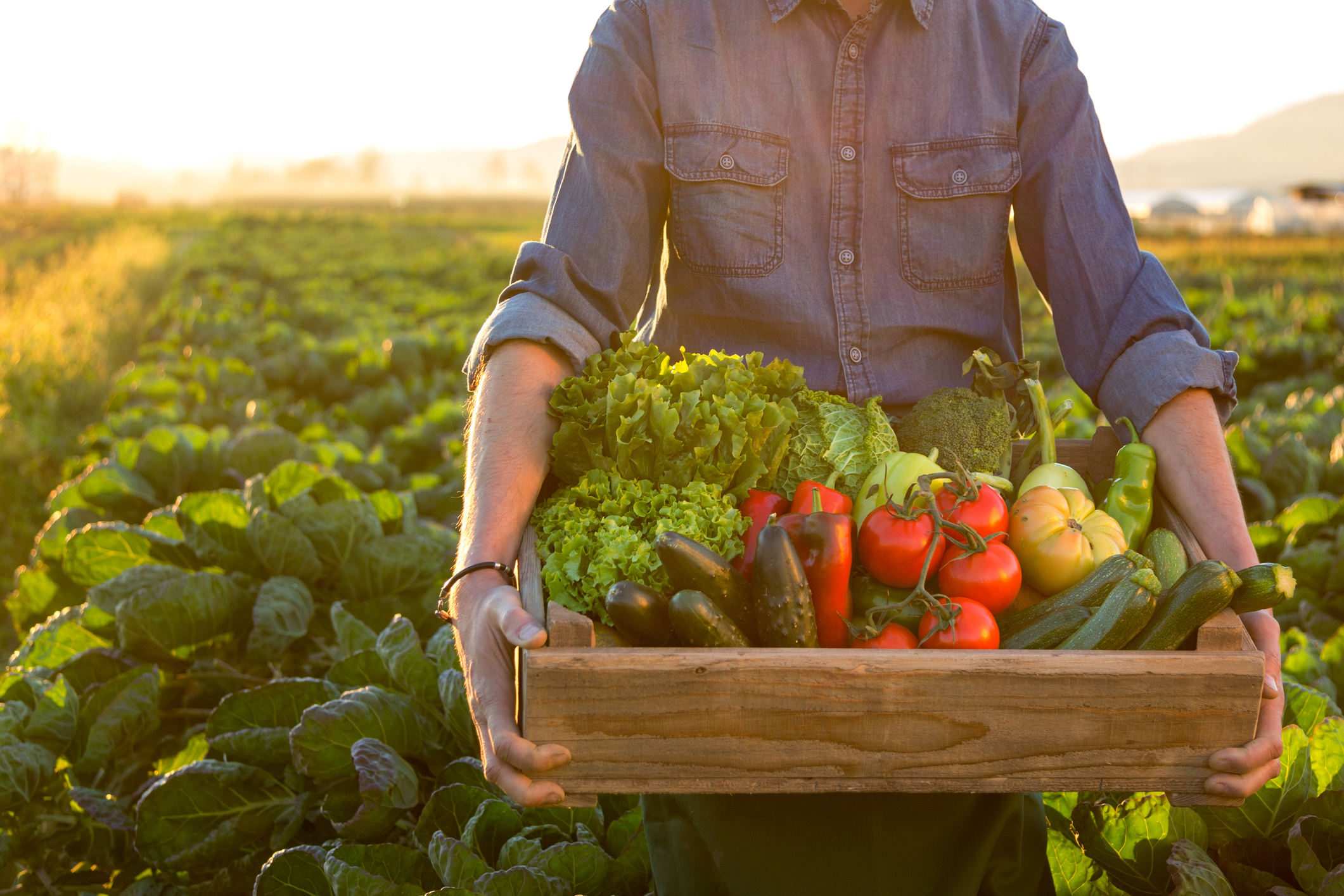 The Lockyer Valley Fruit & Vegetable Processing Company trading as ...