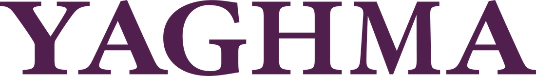 Elena Sertore | Secure Societies 2024: Horizon Europe Cluster 3 Brokerage Event in Istanbul