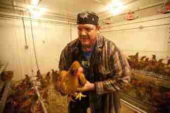 Can Washington's Stevenson Poultry Classic Live Up to the Hype ...