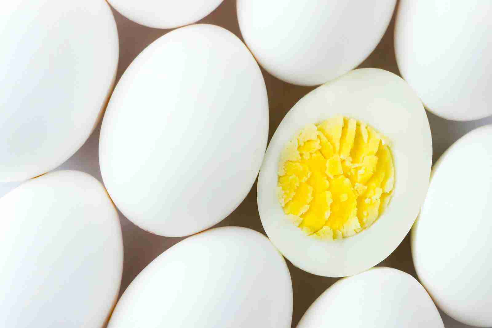 How to Increase the Thickness Of Egg Shells for Backyard Chickens ...