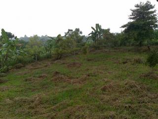 JL009 : Toril Farm Lot For Sale! (Overlooking Davao Gulf)