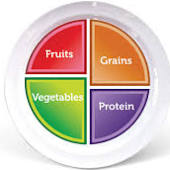 Perfect Portions Plates