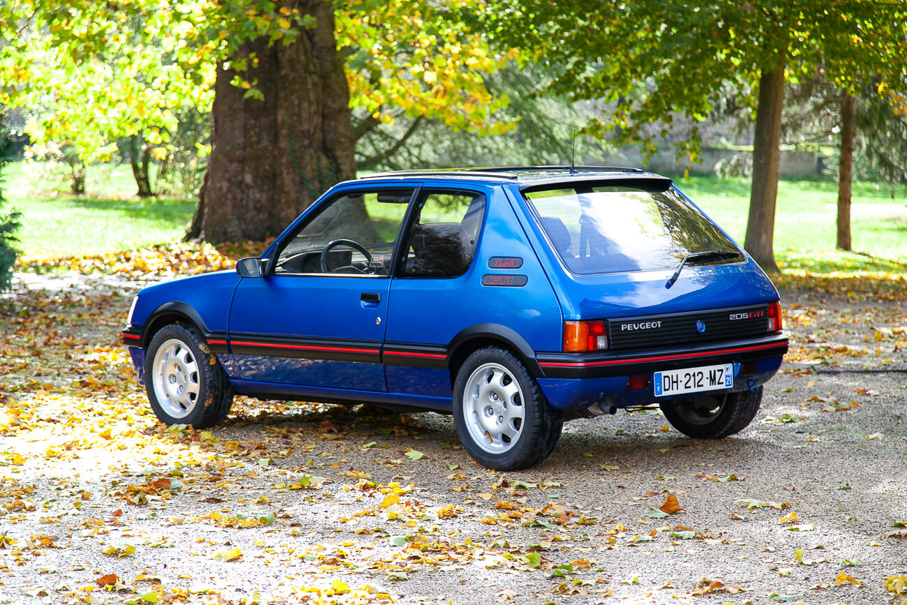 205 Gti 1 9 Occasion
