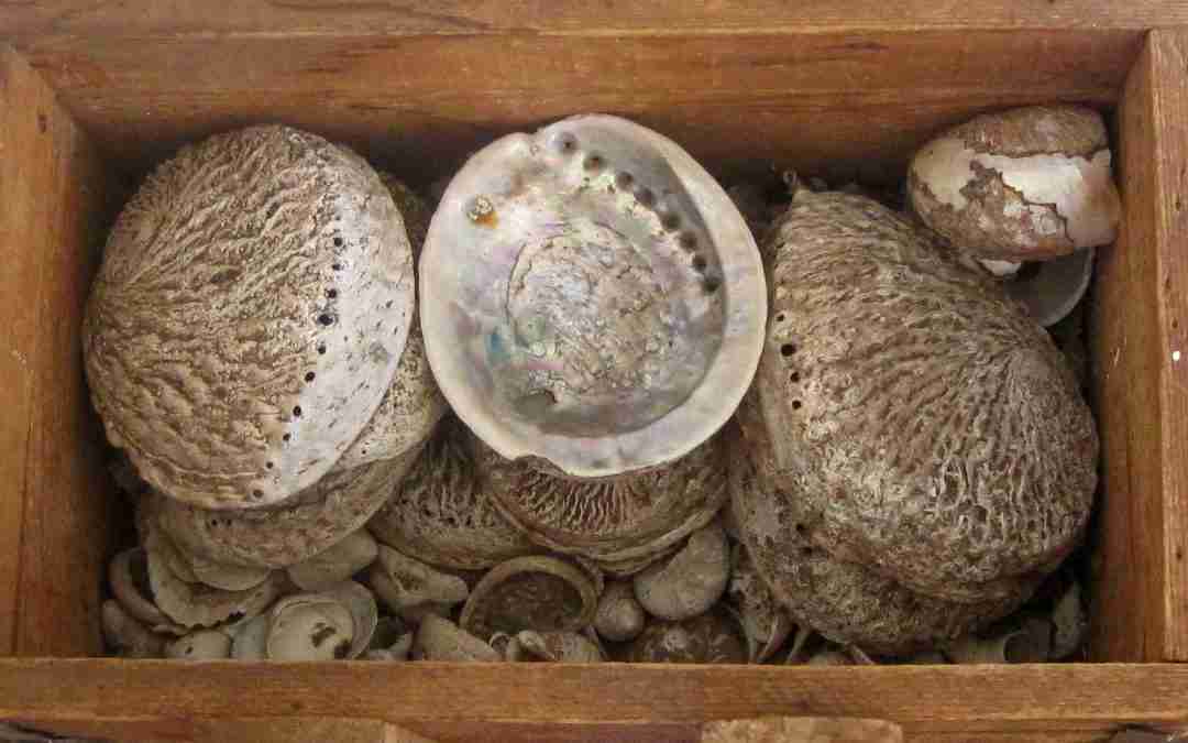 What Is a Pwn In Cybersecurity? - BestCyberSecurityNews