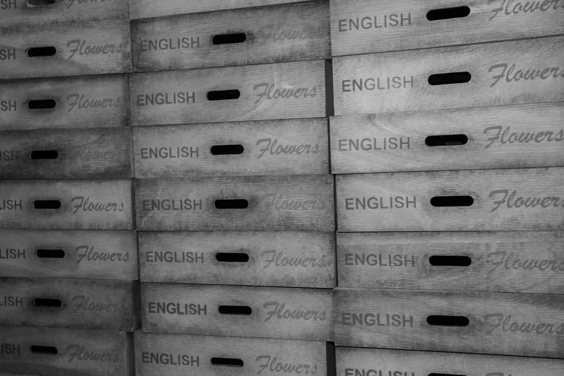 What Is a Script Kiddie In Cybersecurity? - BestCyberSecurityNews