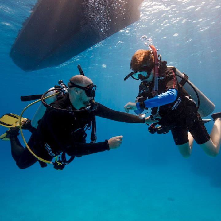 Diving - BestDivesMaldives