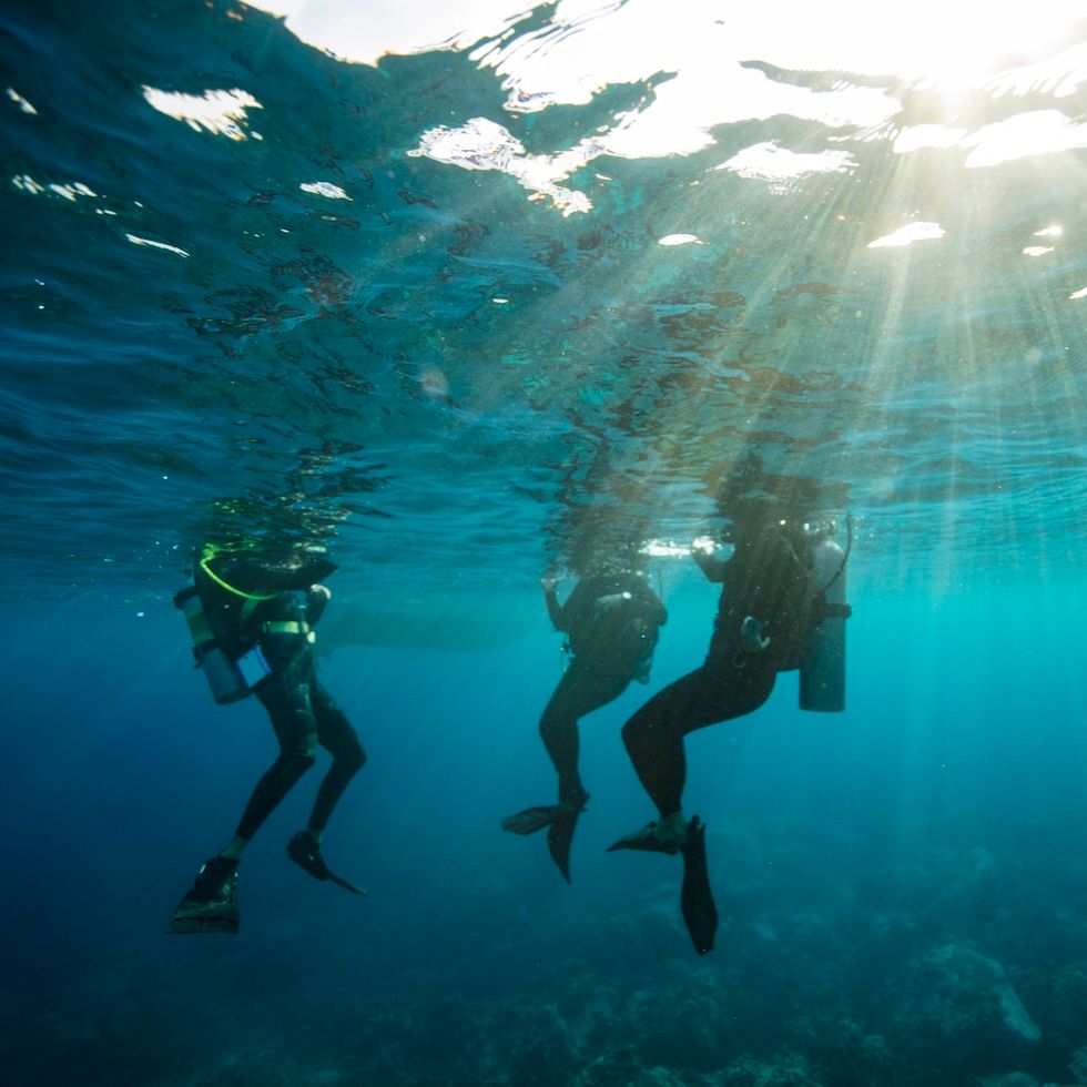 DIVING - BestDivesMaldives